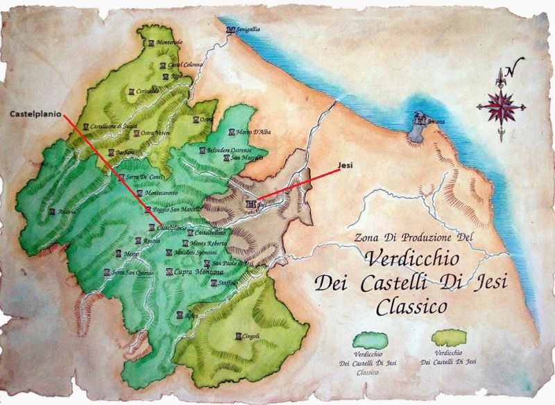 Tenuta dell’Ugolino, Verdicchio dei Castelli di Jesi | Vintage '59 ...
